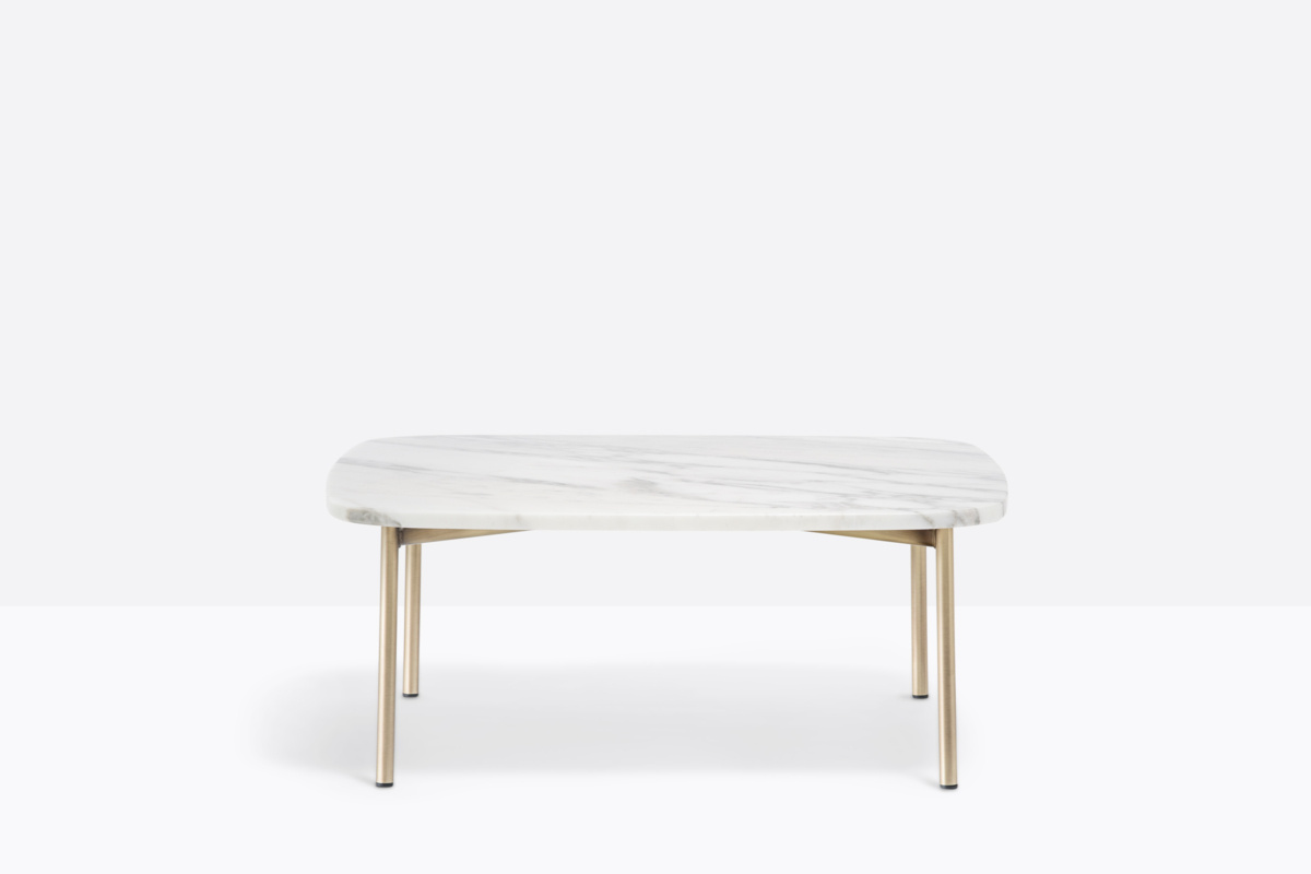 Buddy Table - Healthcare Snapshots