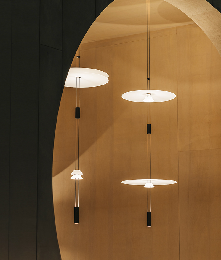 Flamingo Mini - Healthcare Snapshots