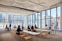 Shirley Ryan AbilityLab - Healthcare Snapshots