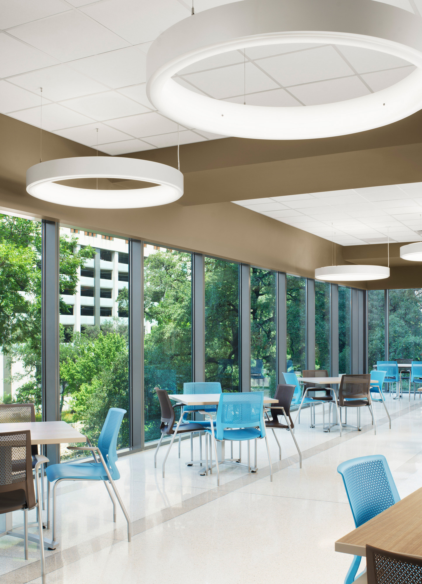 Dell Seton Medical Center at the University of Texas - Healthcare Snapshots