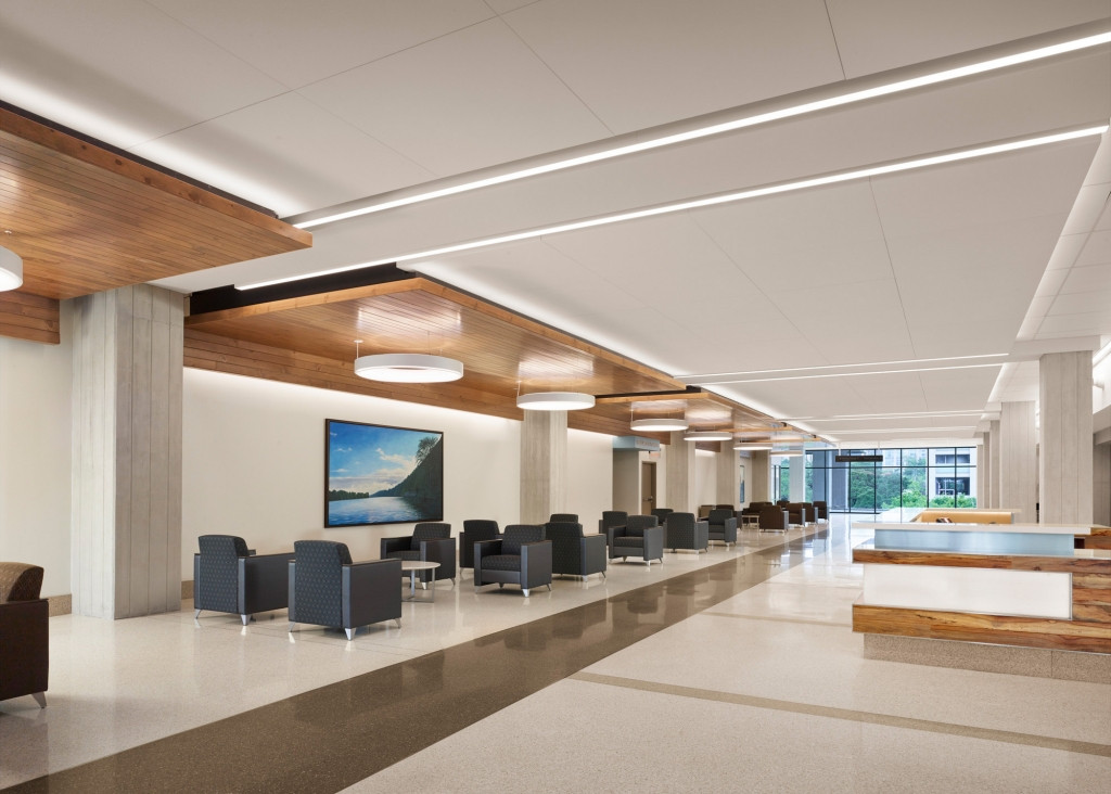 Dell Seton Medical Center at the University of Texas - Healthcare Snapshots