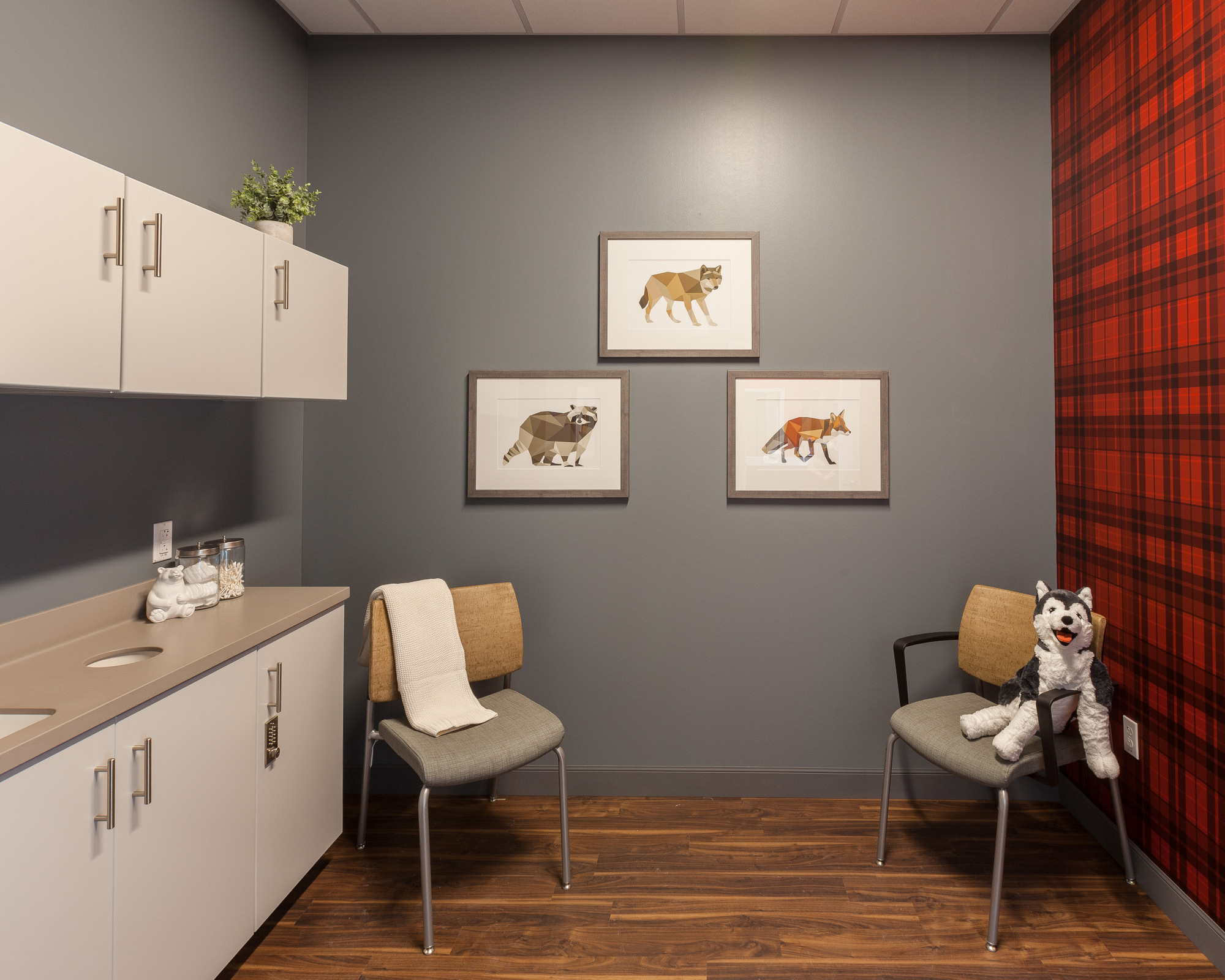 Treehouse Pediatric Clinic Addition - Healthcare Snapshots