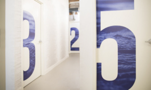 Float Sixty - Healthcare Snapshots