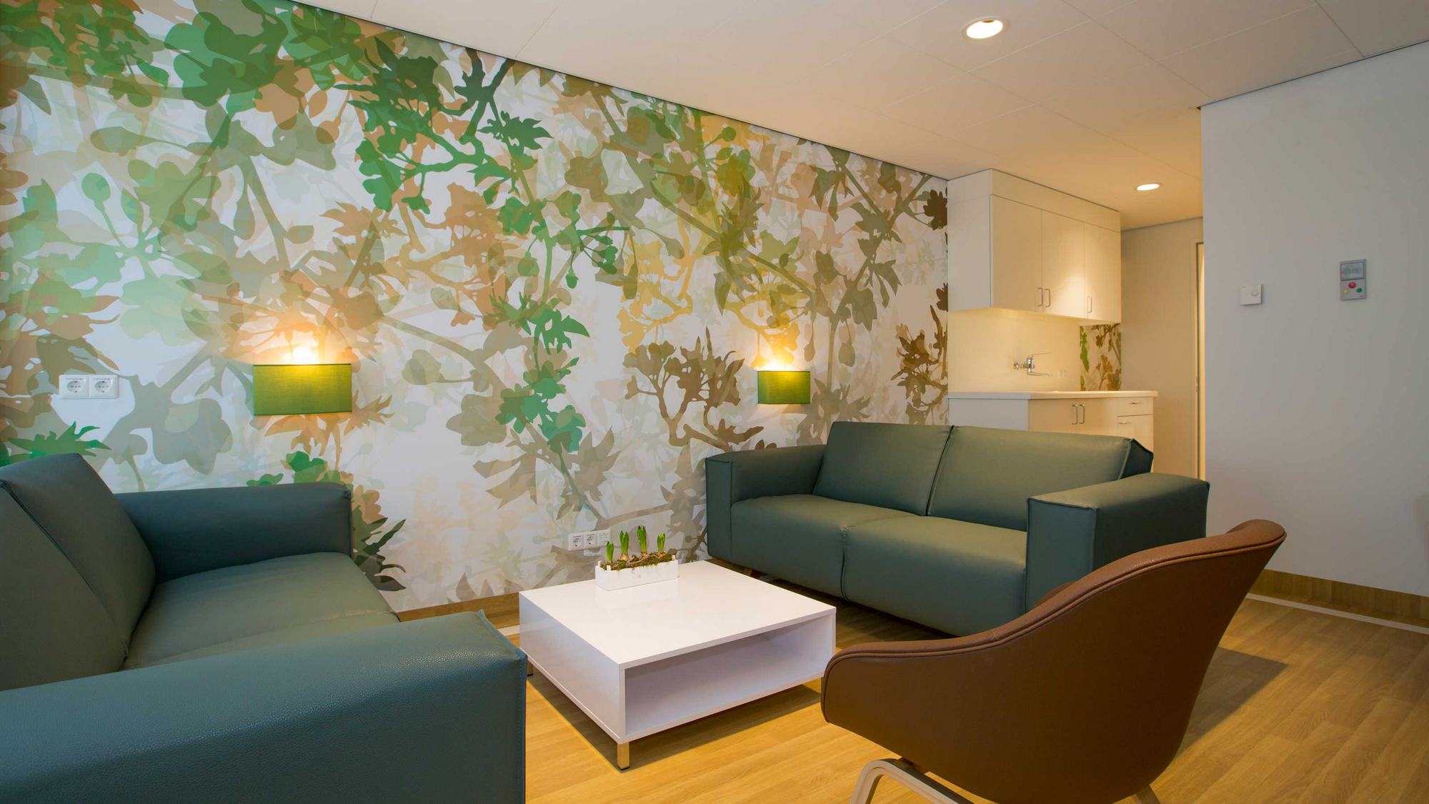 Radboud University Medical Center Medical Psychiatric Unit - Healthcare ...