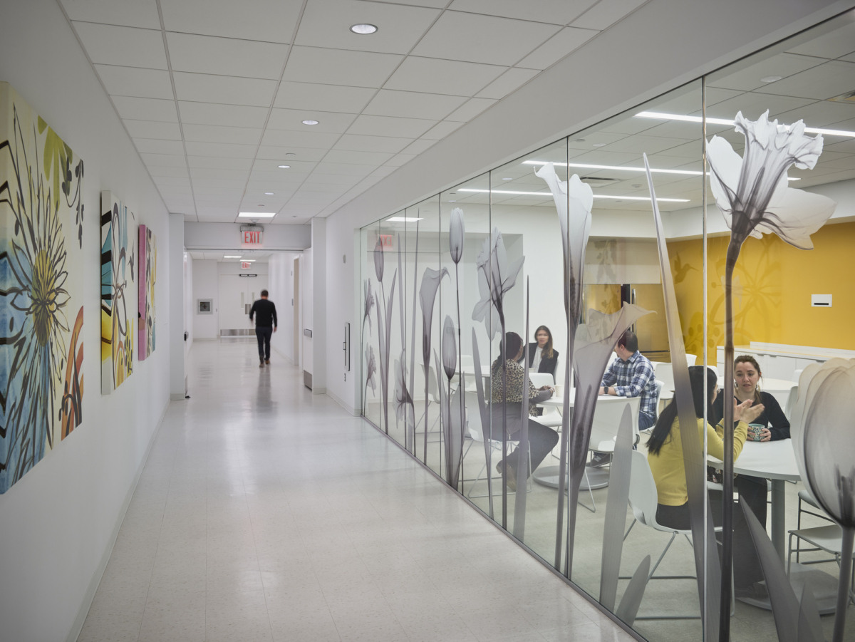 The New York Proton Center - Healthcare Snapshots