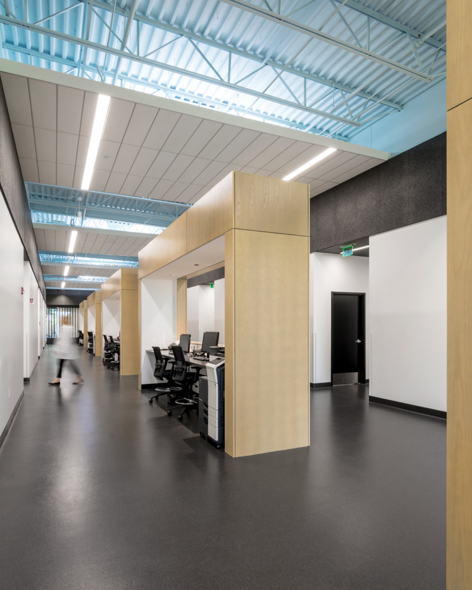 OrthoSouth - Healthcare Snapshots