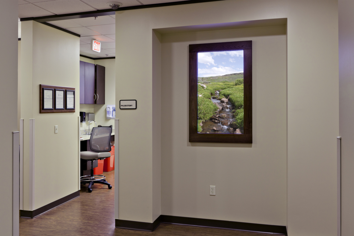 eScape 2.0 - Digital Cinema - Healthcare Snapshots