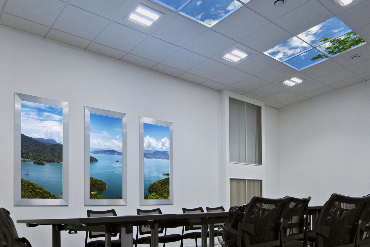 Luminous Virtual Windows - Healthcare Snapshots