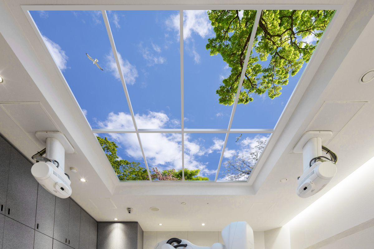 Luminous SkyCeilings - Healthcare Snapshots