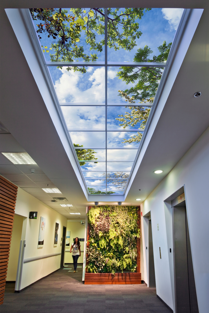 Luminous SkyCeilings - Healthcare Snapshots
