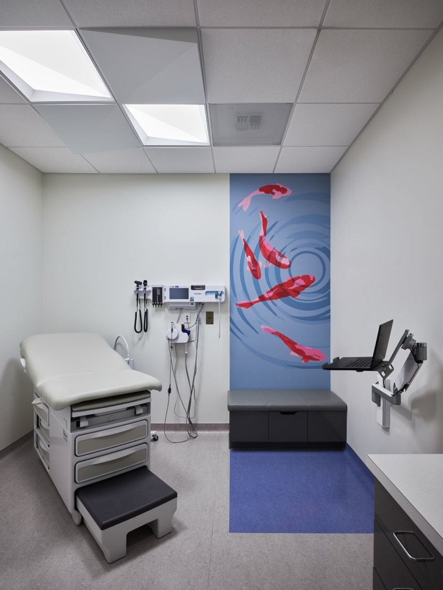 Asian Health & Service Center - Healthcare Snapshots