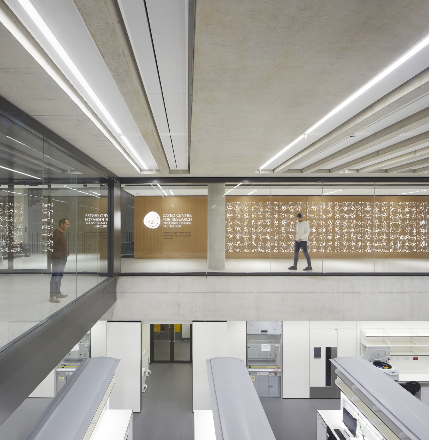 Zayed Centre for Research - Healthcare Snapshots