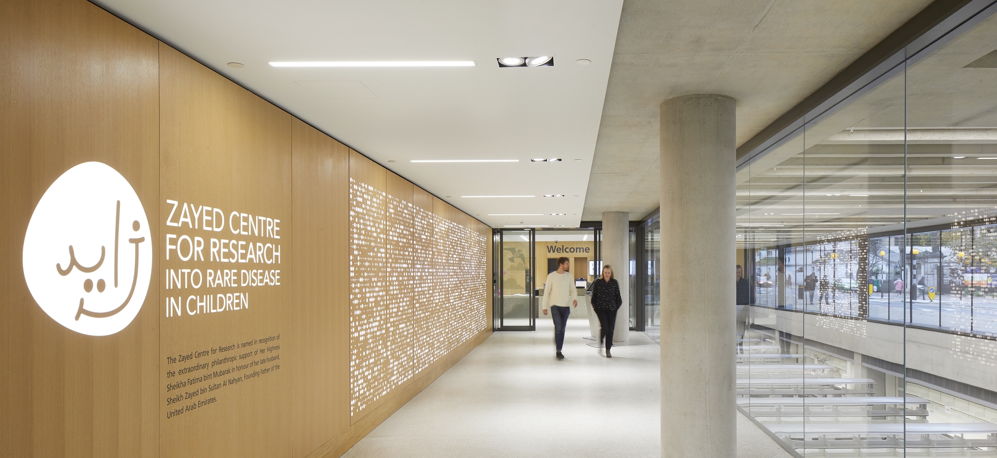 Zayed Centre for Research - Healthcare Snapshots