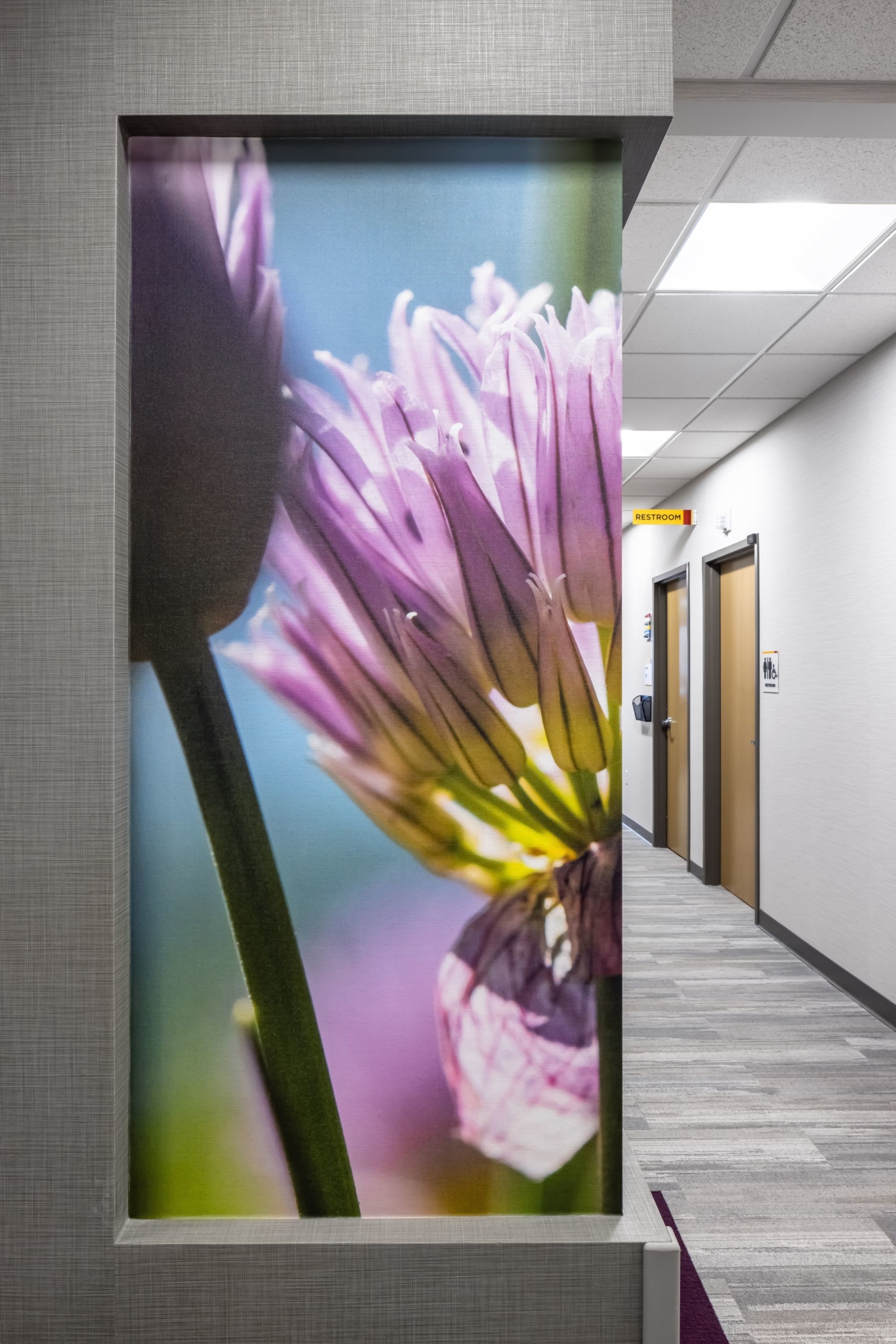 M Health Fairview - River Falls - Healthcare Snapshots