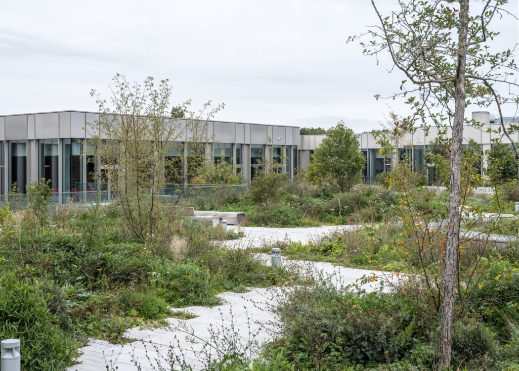 Steno Diabetes Centre - Healthcare Snapshots