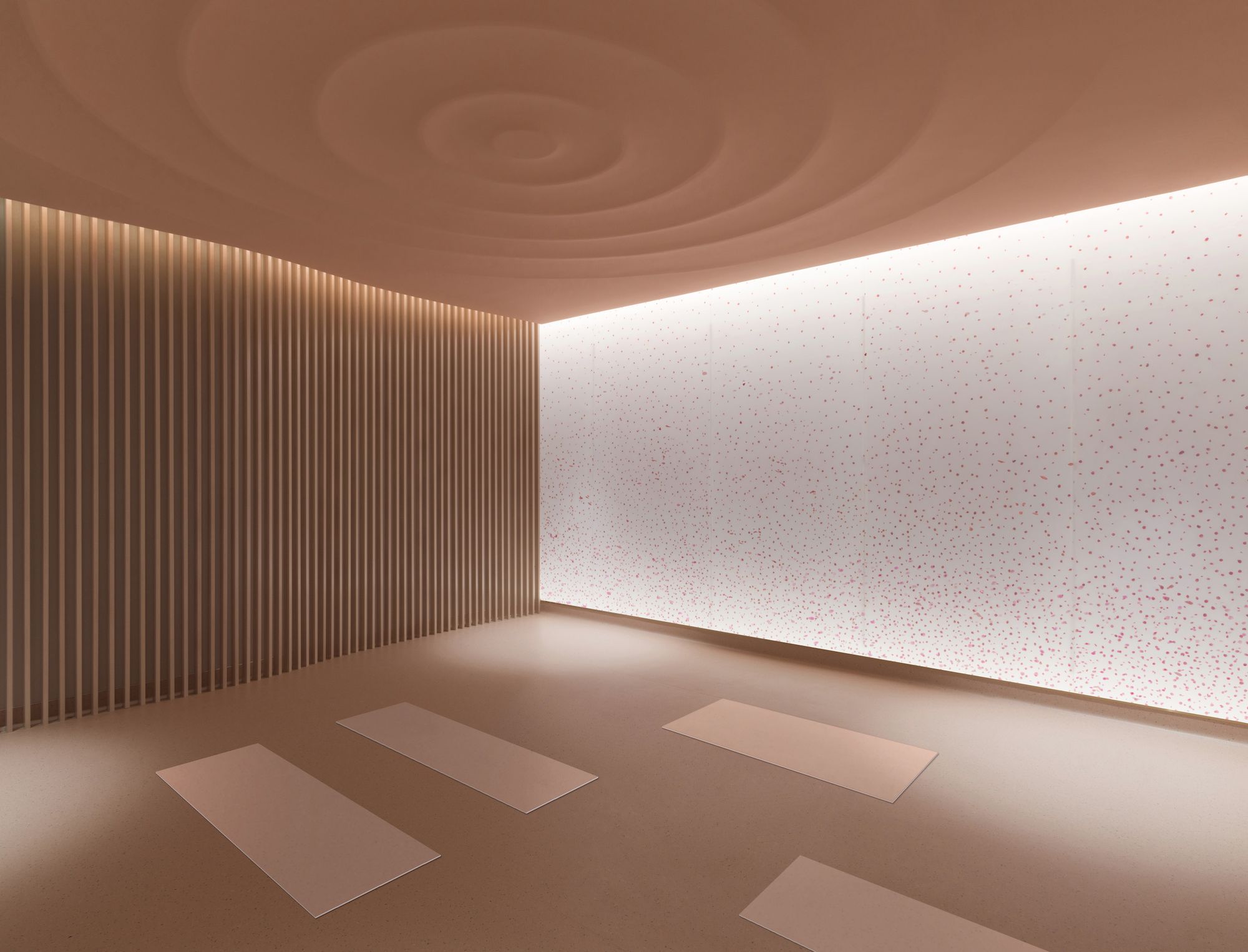 Emo Aesthetic Medicine Clinic - Healthcare Snapshots