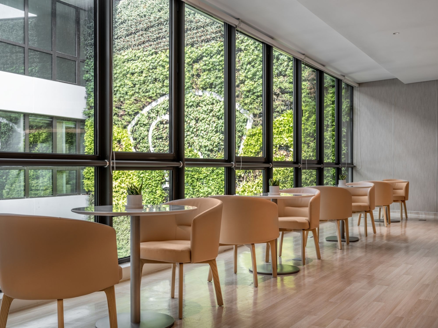 Shenzhen New Frontier United Family Hospital - Healthcare Snapshots