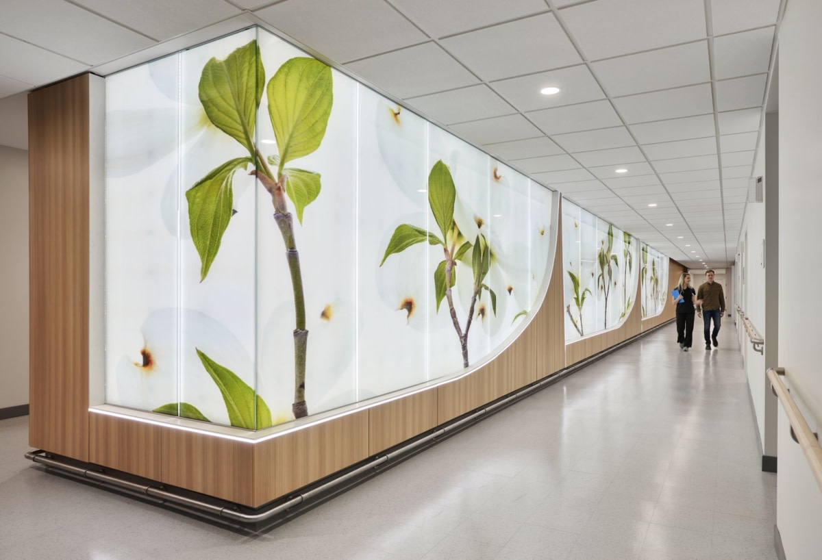 The University of Kansas Health System Proton Therapy Center ...