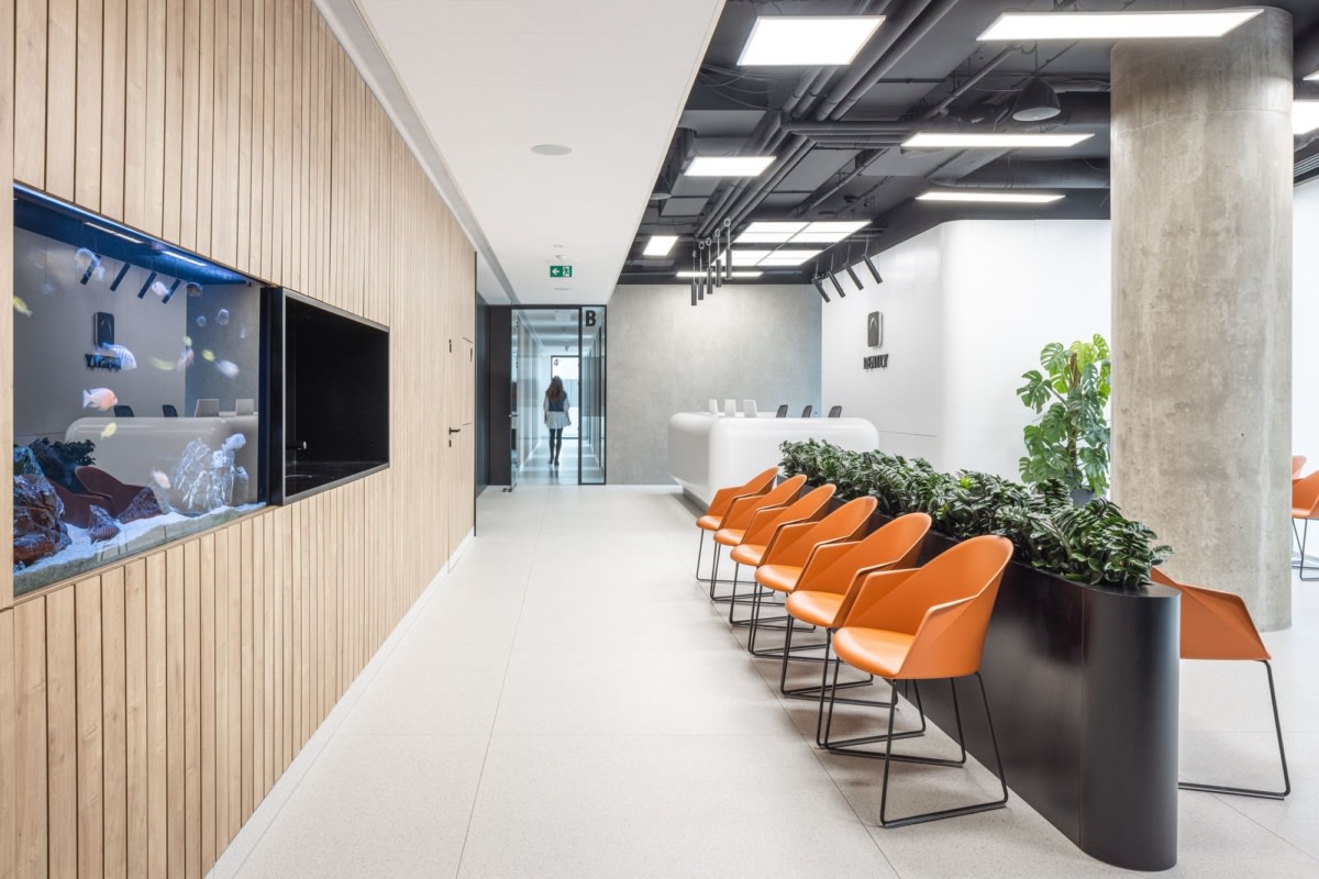 DENTLY Clinic - Healthcare Snapshots