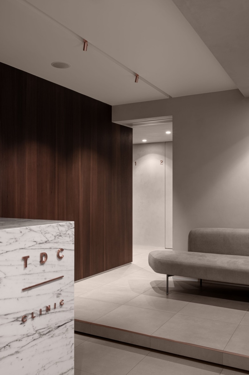 TDC Clinic - Healthcare Snapshots