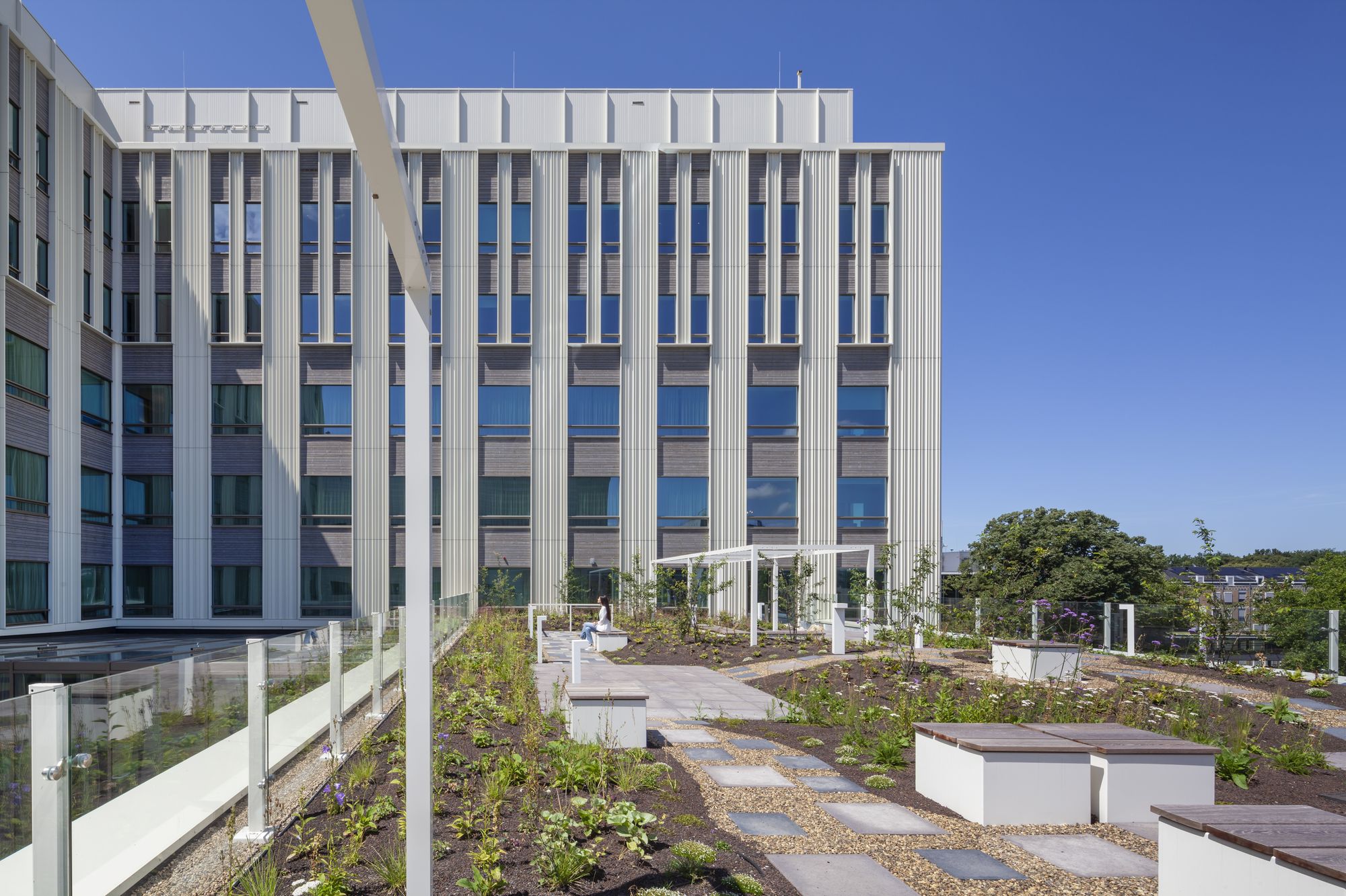 Radboudumc Main Building - Healthcare Snapshots