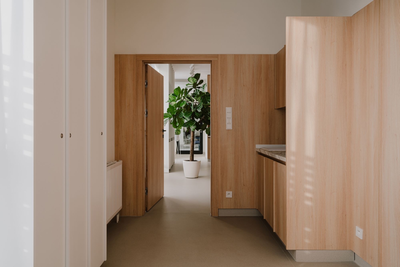 MIGRE Polish Migraine Treatment Centre - Healthcare Snapshots