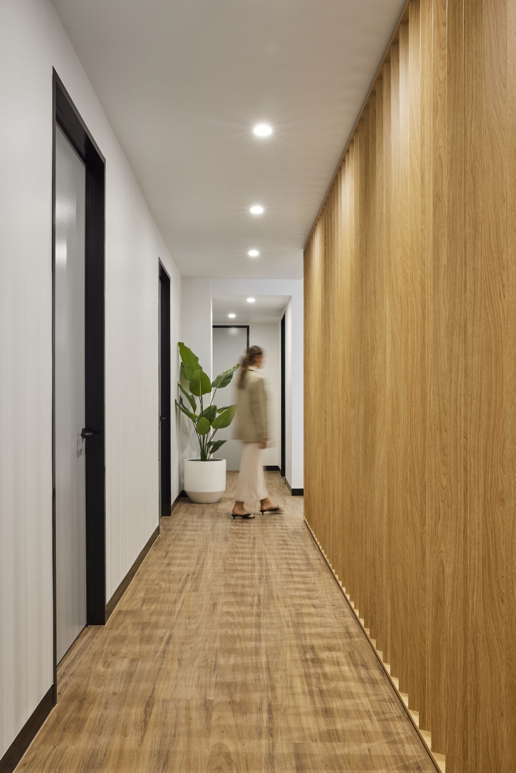 Ryrie Healthcare Precinct - Healthcare Snapshots