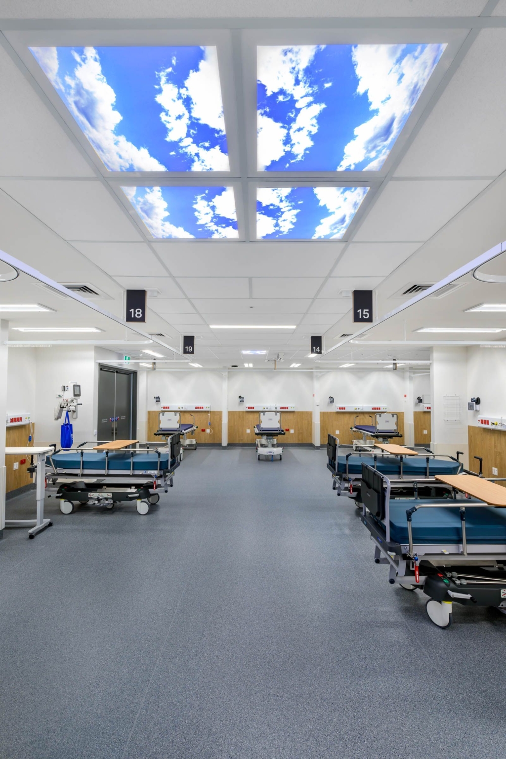 The Queen Elizabeth Hospital Clinical Services Building - Healthcare ...
