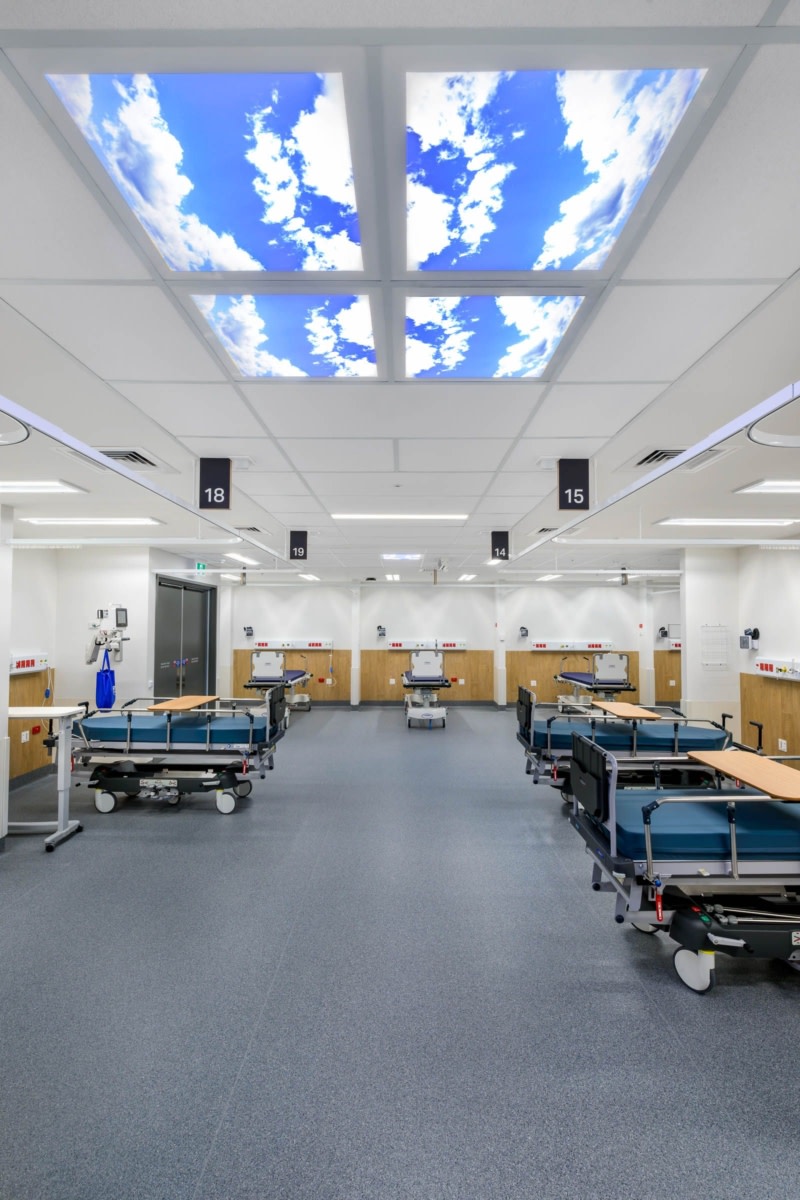 The Queen Elizabeth Hospital Clinical Services Building - Healthcare ...
