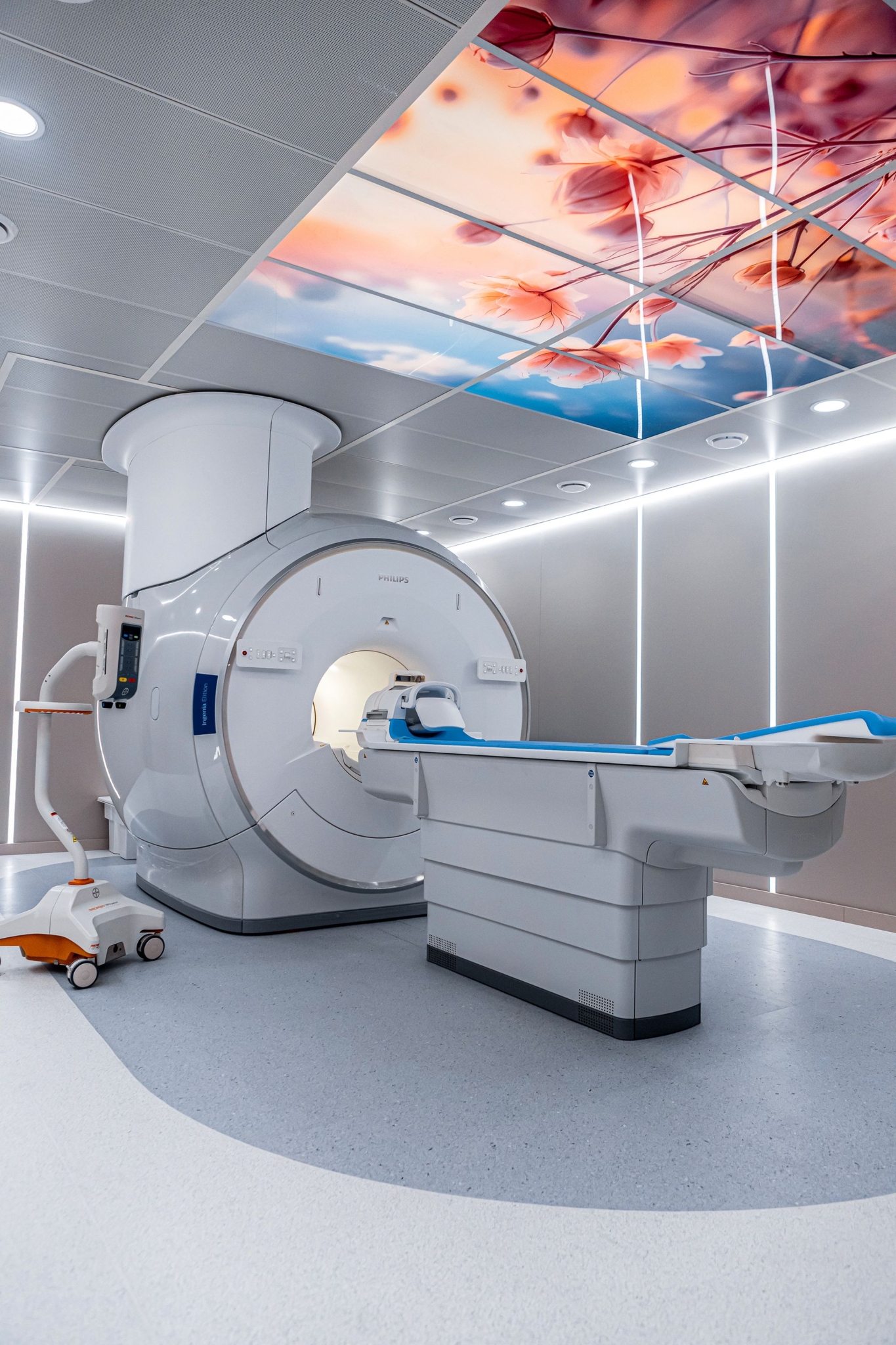International Scientific and Clinical Center of Physiology - Healthcare ...