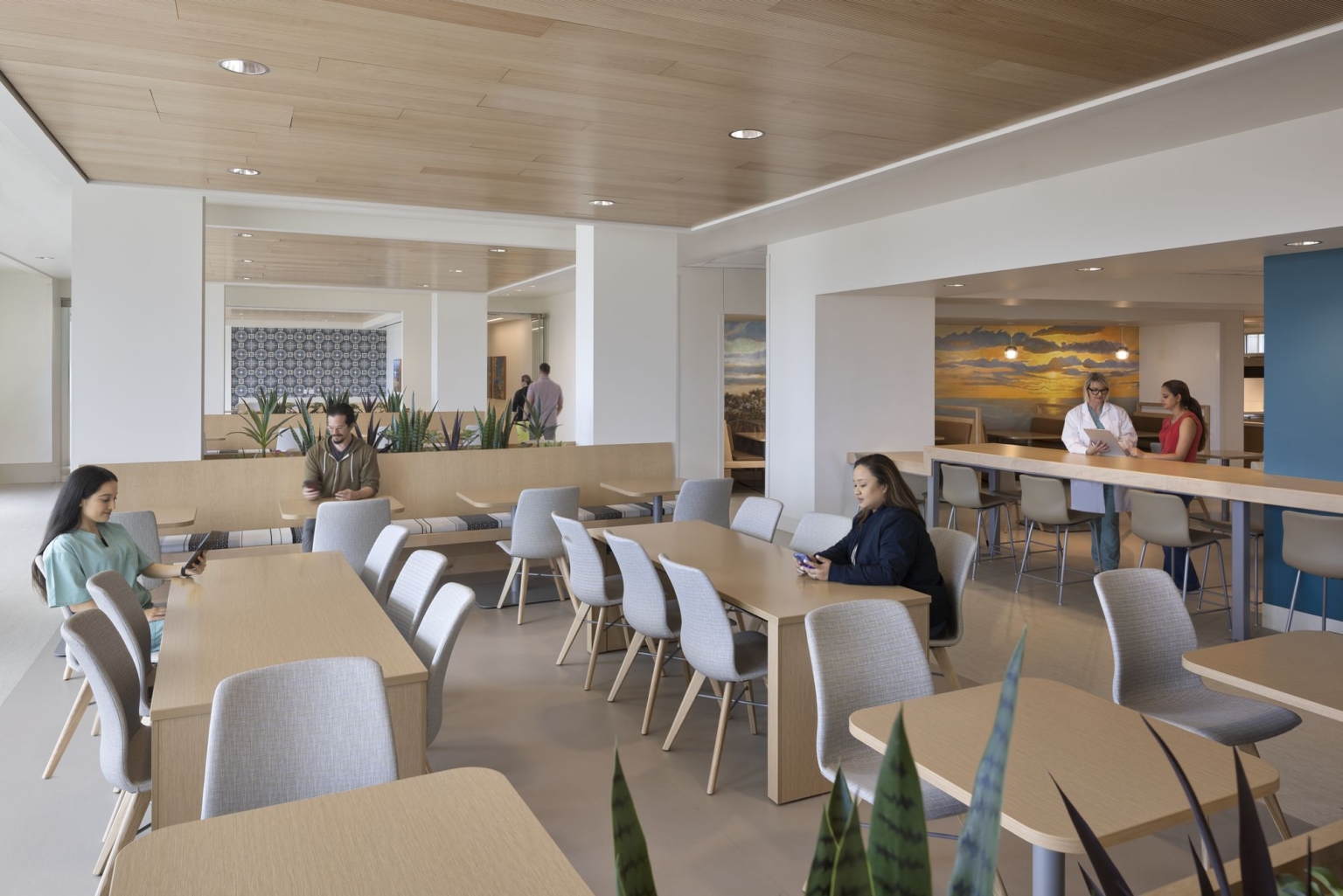 Scripps Memorial Hospital La Jolla North Tower - Healthcare Snapshots